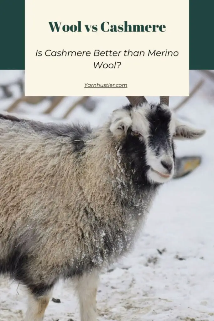 Wool vs Cashmere: Is Cashmere Better than Merino Wool? – Yarnhustler