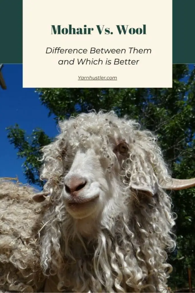 Differences of Mohair Vs Wool: Which Fiber is Better – Yarnhustler