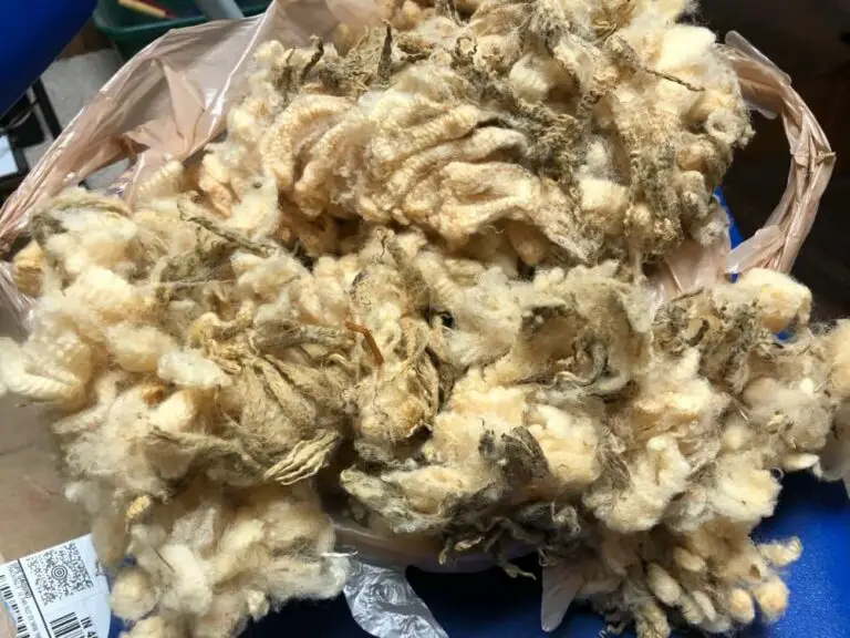 How to Clean Raw Wool and 5 Tips to Prevent Felting – Yarnhustler